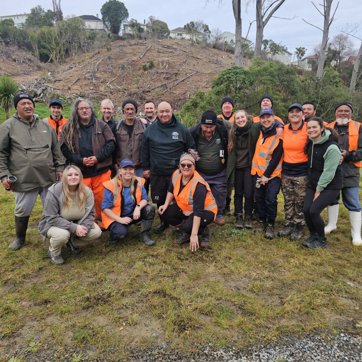 The rewilding of Porirua through community action | WWF-New Zealand